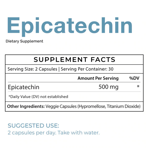 Epicatechin - Muscle Growth Support & Performance Enhancement – B ...