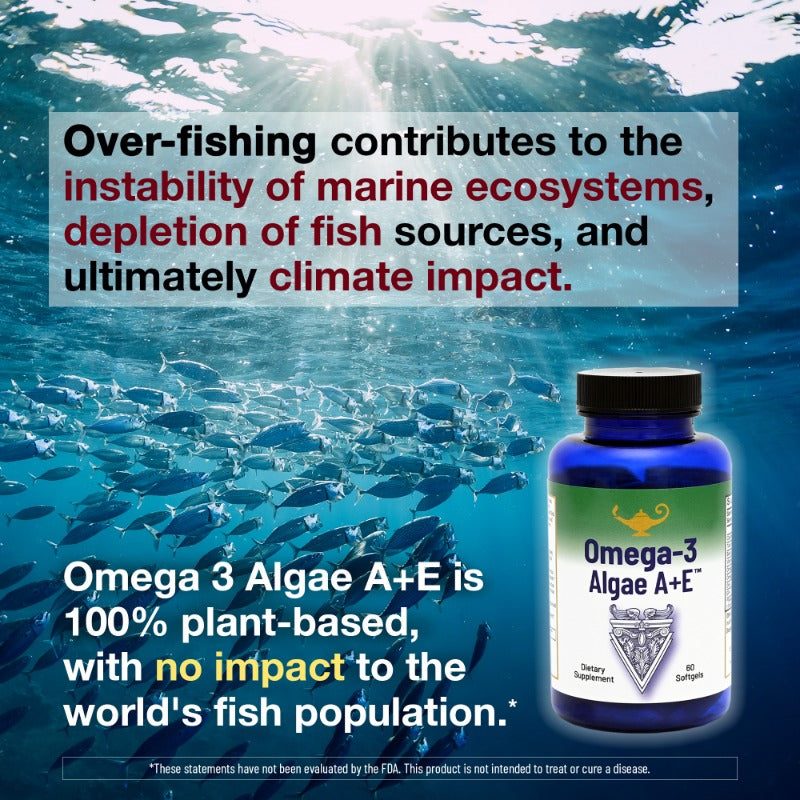 Omega 3 Algae A+E® – B. Health Shop